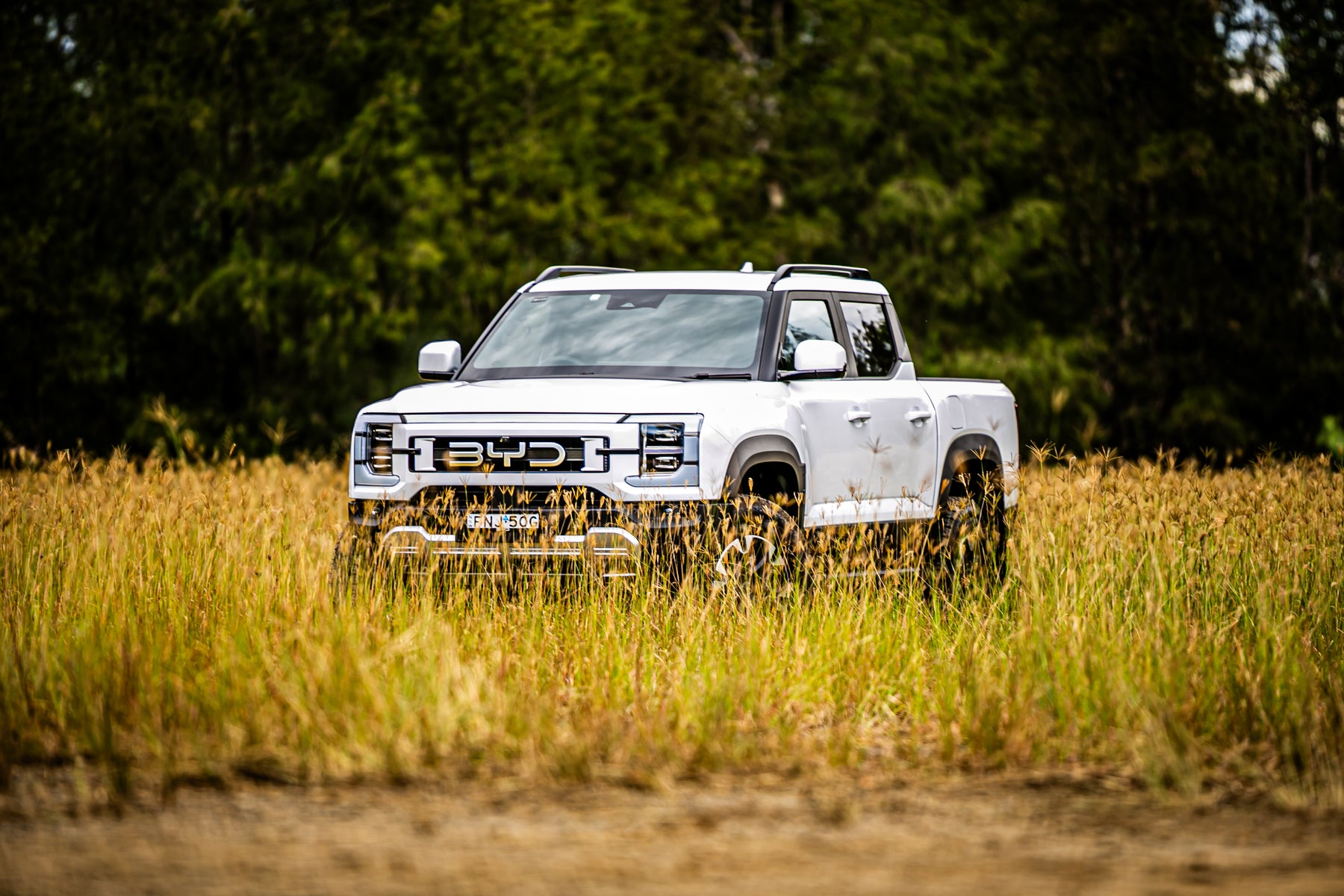 T-rex Shield Protection