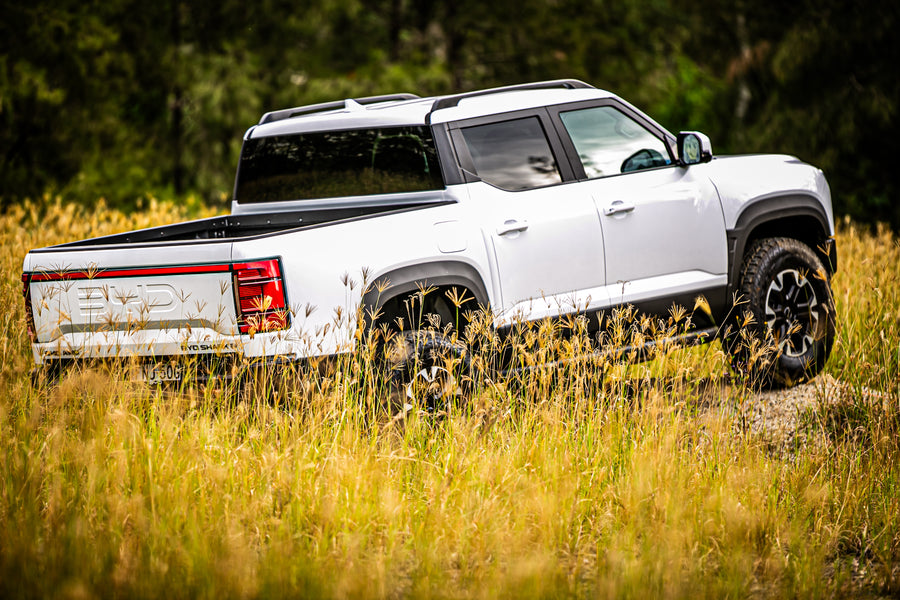 T-rex Shield Protection